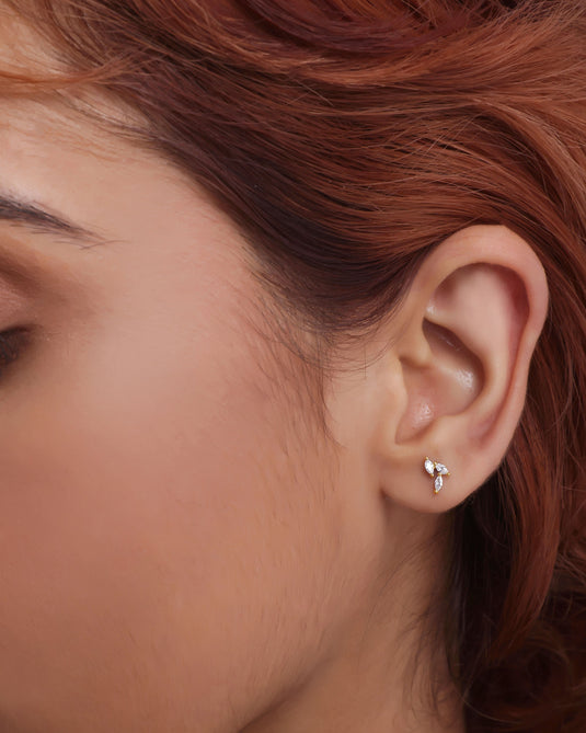 Visit us – Silverfied