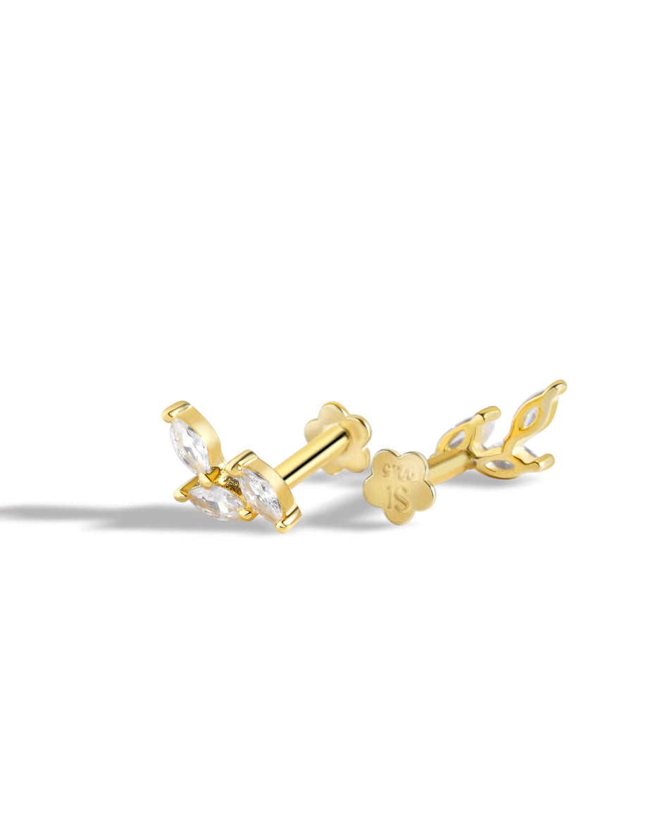 Visit us – Silverfied